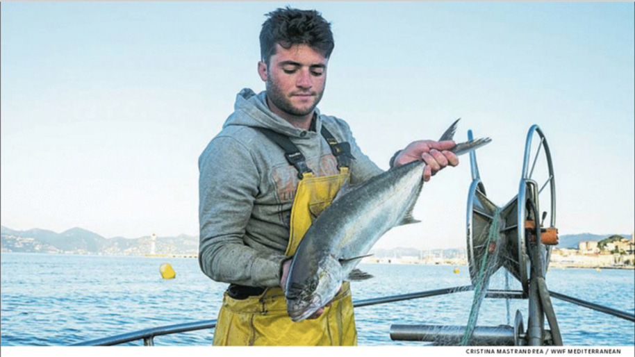 I pescatori-ranger che proteggono i pesci - Ponza Racconta
