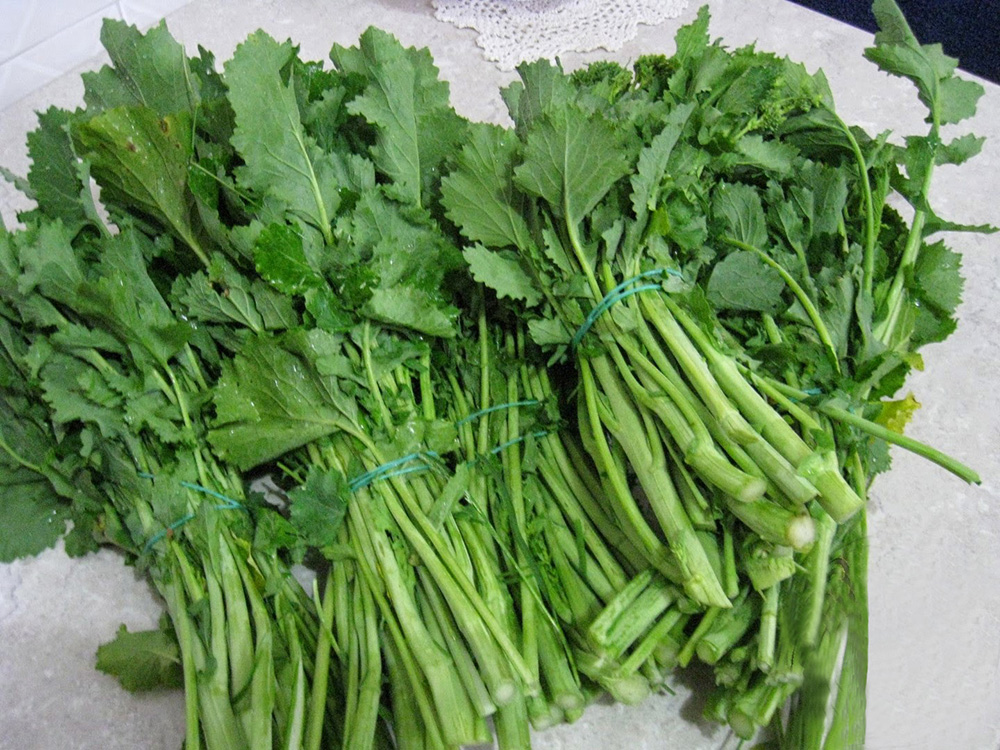 Ci sono i friarielli e… i friarielli - Ponza Racconta